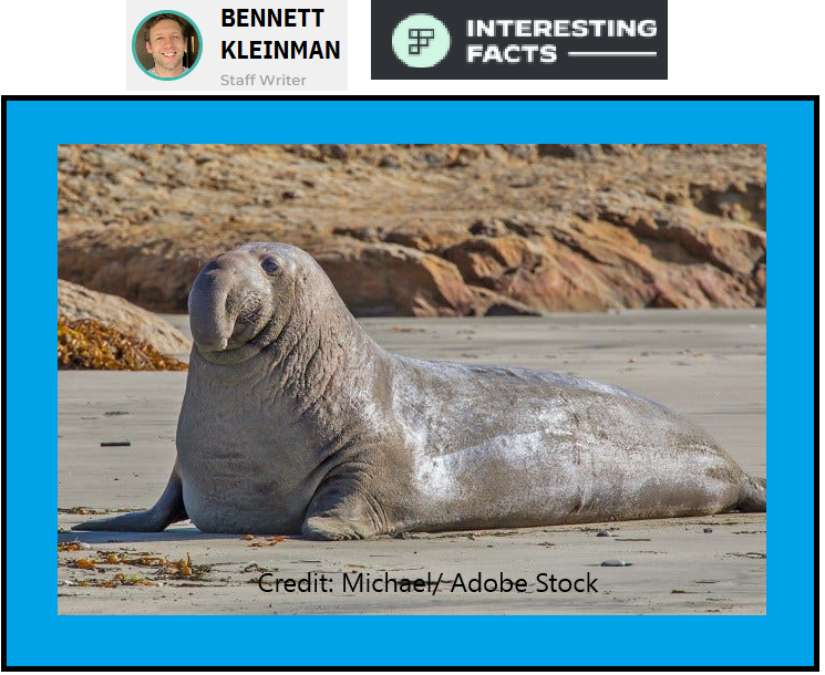 Animals That Barely Sleep at All. by Bennett Kleinman | by Sadan Nair ...