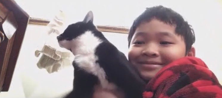 Maxfield student aspires to be animal trainer | by RachelBlood ...