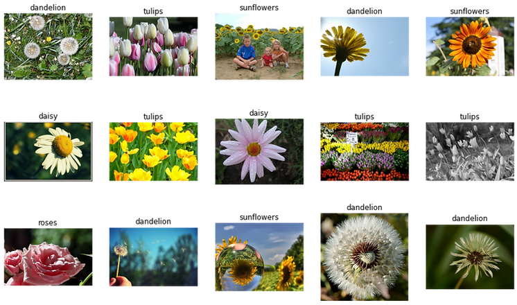 Image Classifier. Building Flower Recognition Image… | by Aarona ...