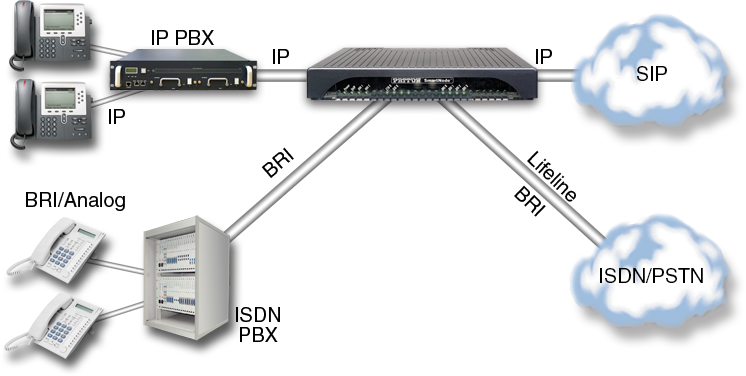 In large enterprises, Enterprise Session Border Controllers are ...