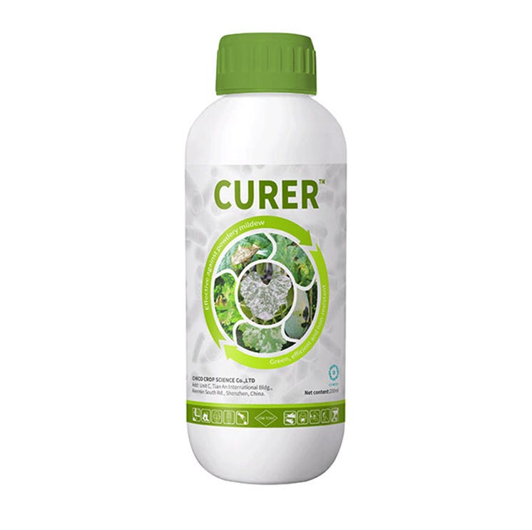 CURER® -Bio Fertilizer for Fungal Diseases | by CHICO | Mar, 2024 | Medium