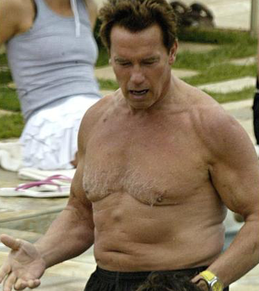 Ecto Mesomorph Bodybuilders