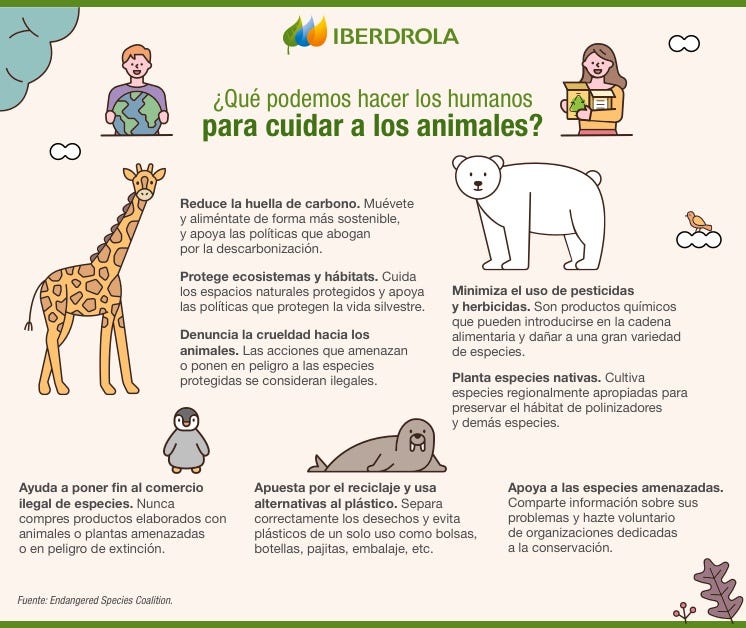LOS ANIMALES EN PELIGRO DE EXTINCION. | by Karlafernanda Gaona | Medium