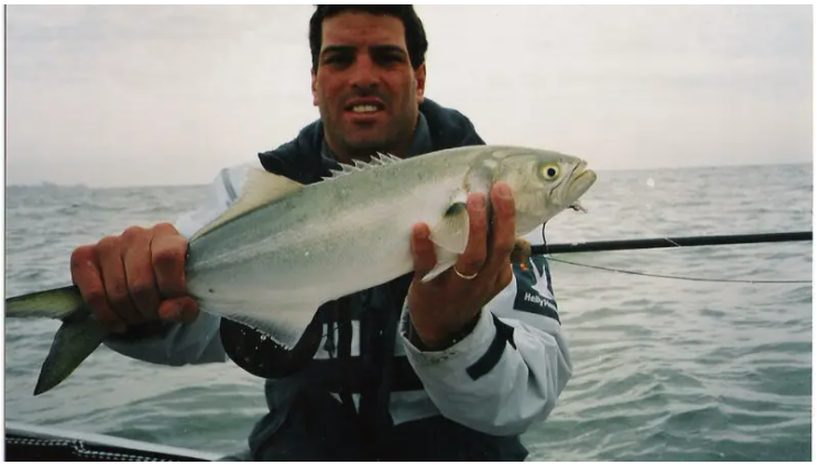 Mahi Mahi - Alex Brown - Medium