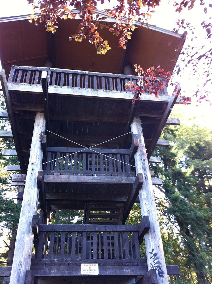 All Along Bellingham’s Watchtower | by a.cavallo | Medium