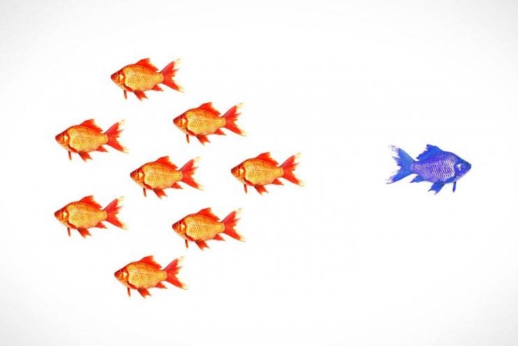 Individuality, conformity and our need for social acceptance | by Menno ...