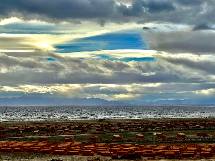 The Salton Sea. Is it worth visiting? ABSOLUTELY! | by Nancy Hon | Medium