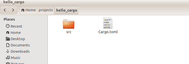 5. WHAT IS CARGO?. Cargo is Rust’s build system and… | by CS Simple ...