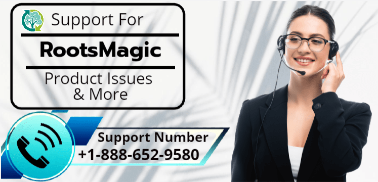 How Do I Upgrade To RootsMagic 8? - Luna Watson - Medium