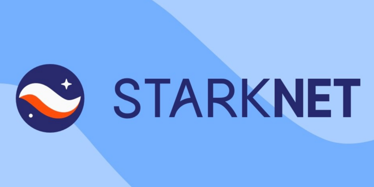 Testnet StarkNet. Installing a node. | by playandrule | Medium