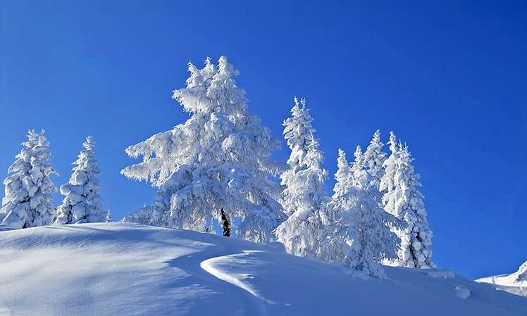 Schnee. In German ‘Schnee’ refers to Snow, and… | by mrsahid ali | Dec ...
