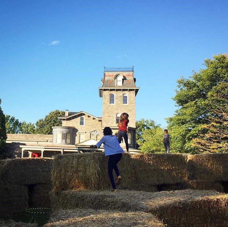 Straw Maze Returns To Woodmere Museum | by The Griffin | The Griffin ...