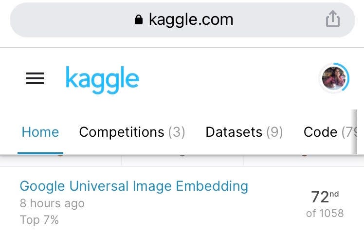 Google Universal Image Embedding | Top 7% on Kaggle | by Ankita Bhagat | Medium