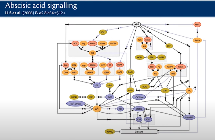 Introduction to Boolean Network Modelling | by Rahul V. Veettil, PhD | Medium