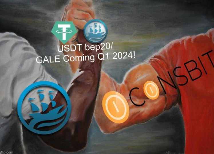 Galleon Coin ($GALE)- The Premier Altcoin Masternode Investment of 2024 ...