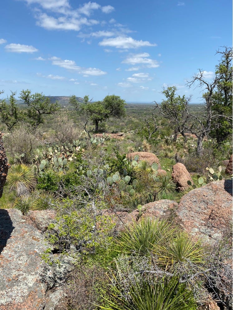Steps and Steps Un-Stepped. Texas Hill Country Romp | by Christopher ...