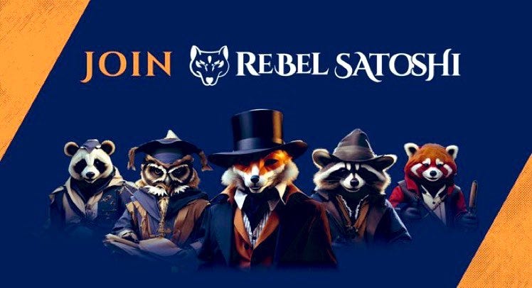 Embracing the Spirit of Challenge and Change: The Rise of Rebel Satoshi ...