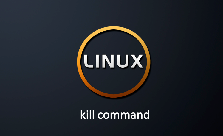Linux — kill Command | by Tony | Medium