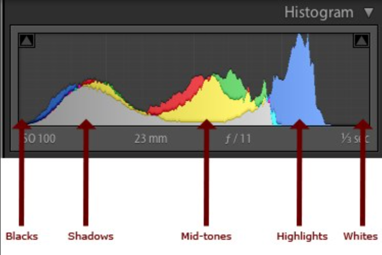 Histogram. Histogram: A graphical representation… | by Emily White | Medium