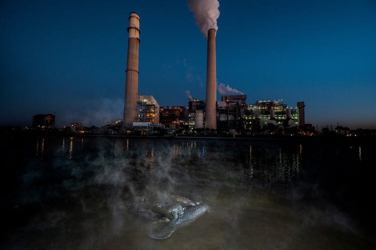 Why manatees often lurk close to Florida's power plants Over 60 percent ...