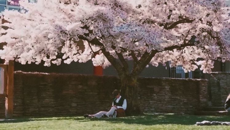 The most beautiful parts of life happen when we don’t expect them | by ...