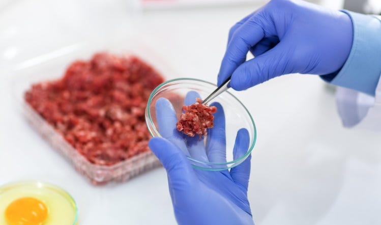From Lab to Table: Investing in the Cell-Based Meat Revolution. | by ...