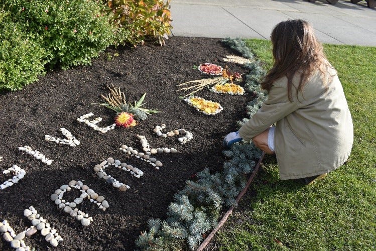 The Blossoming Journey of Tammy: From Silence to Soil | by Washington ...