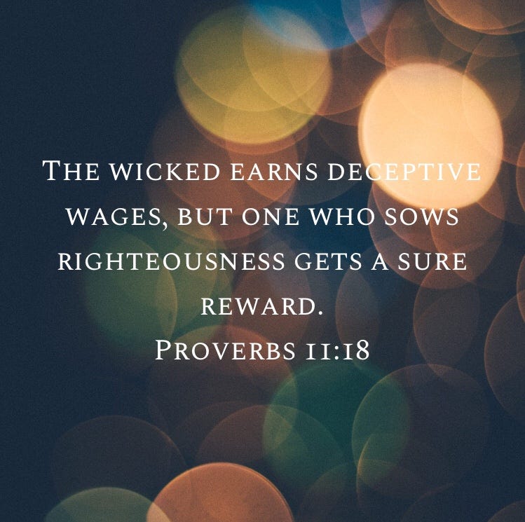 The Righteous Reward. “The wicked earns deceptive wages, but… | by R.M ...