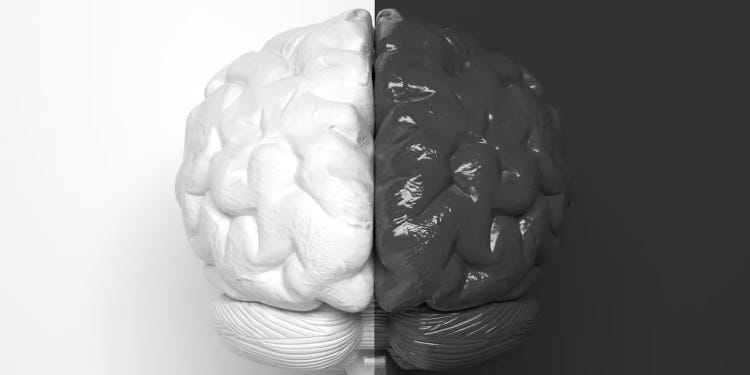 The Rise of Bio-Inspired Computing Architectures of Brain-net | by ...