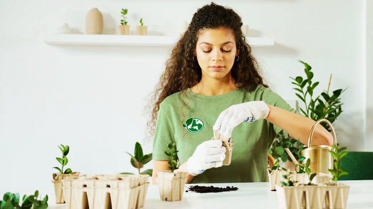 [100% OFF] Master Course in Circular Economy 3.0 with Certificate of ...