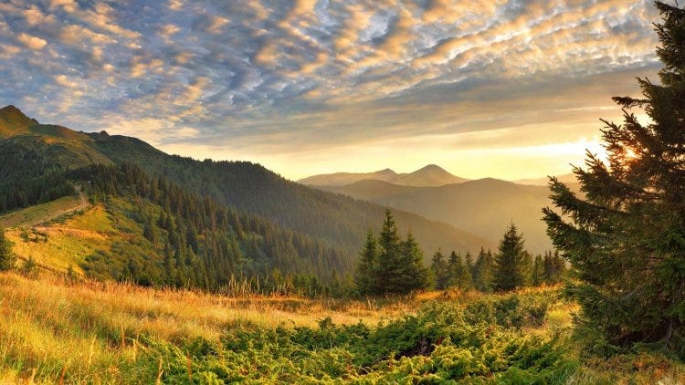Exploring the Marvels of the Natural World: A Journey into Nature’s ...