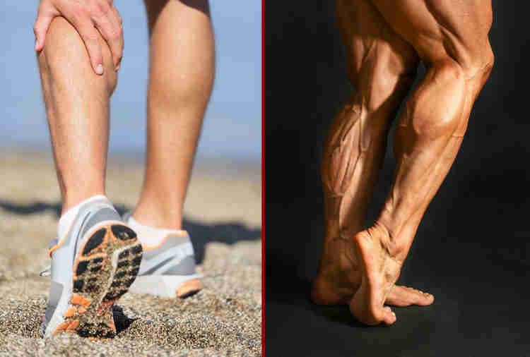 Calf Muscles