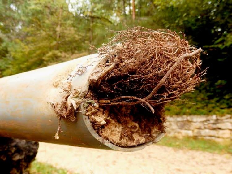 Clogged pipe…. Like a clogged pipe that refuses to get… | by Shyam ...