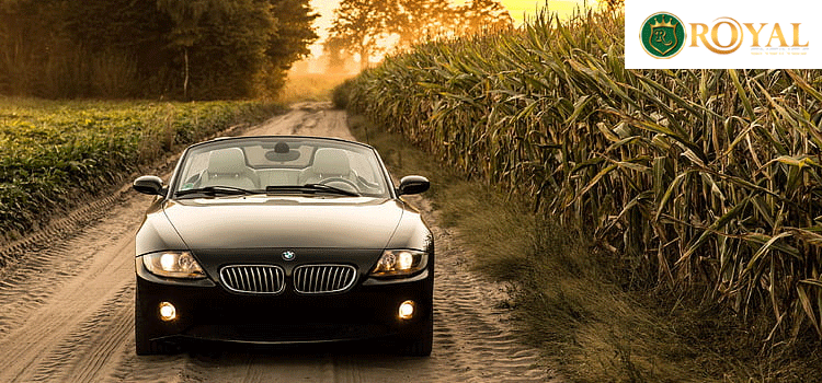 How Does The BMW Z Series Engine Align With BMW’s Sustainability Goals ...