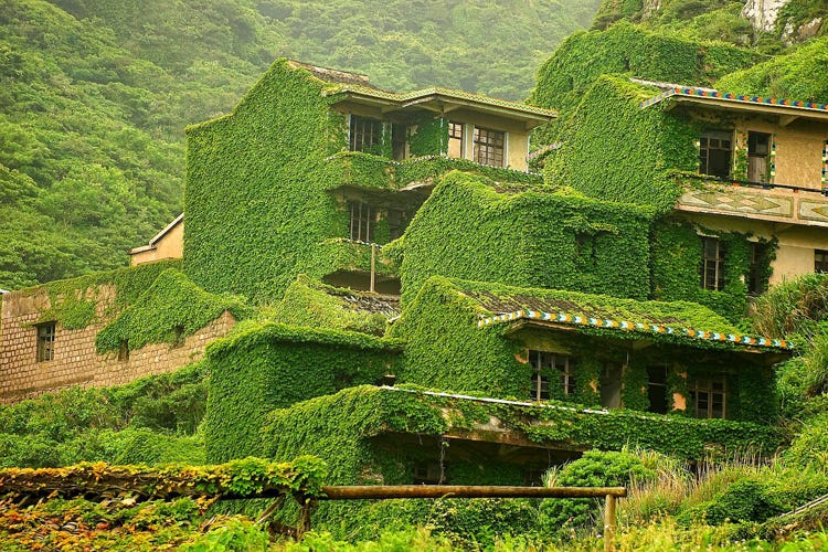 Gouqi Island is an Abandoned Green Paradise East of China | by Left ...