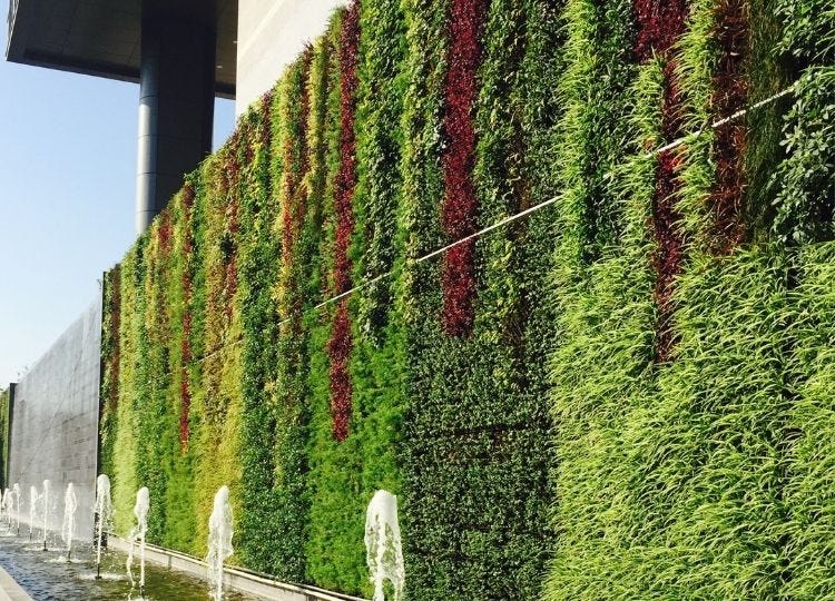 A BRIEF GUIDE TO LIVING GREEN WALL MAINTENANCE | by Vistaconcepts | Medium
