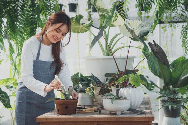 The Whys and Hows of Home Gardening - Ysabelcapi - Medium