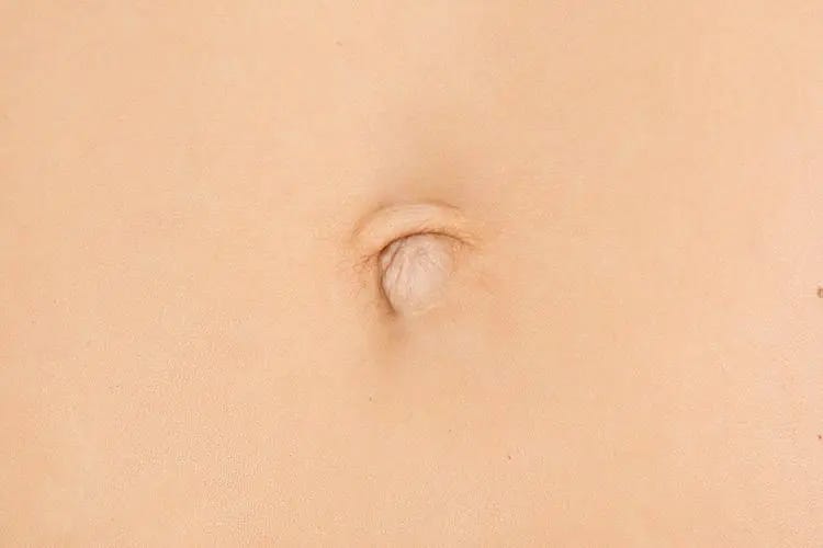 Navels, A New Adventure. Navels. Belly buttons. We often take… | by ...
