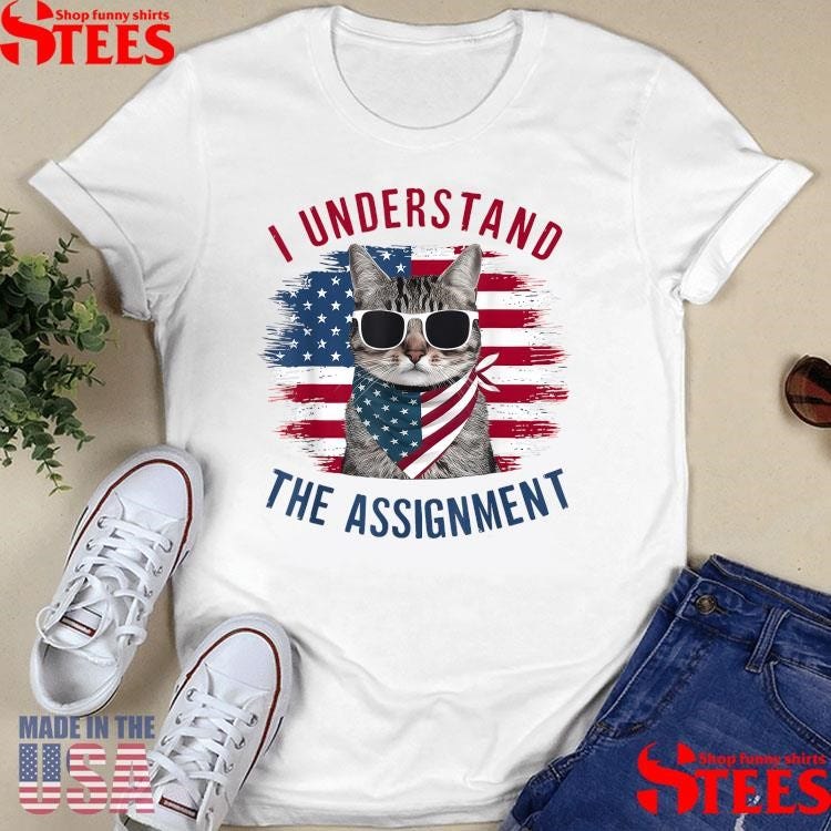 Official I Understand The Assignment Cat, Childless Cat Lady T-Shirt ...