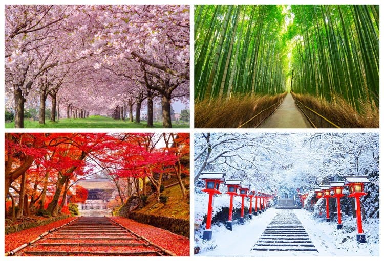 The best times of year to visit Japan | by Martin Giles | Everything ...