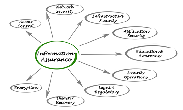 Crucial Role of Entities: Safeguarding Information Assets via NESA NIAF ...