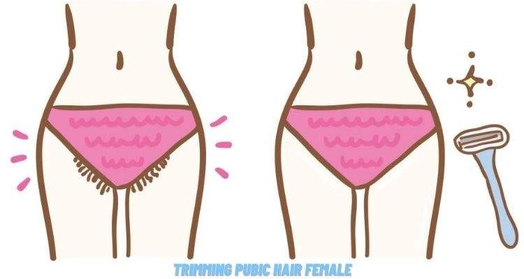 Pubic Hairstyles For Female