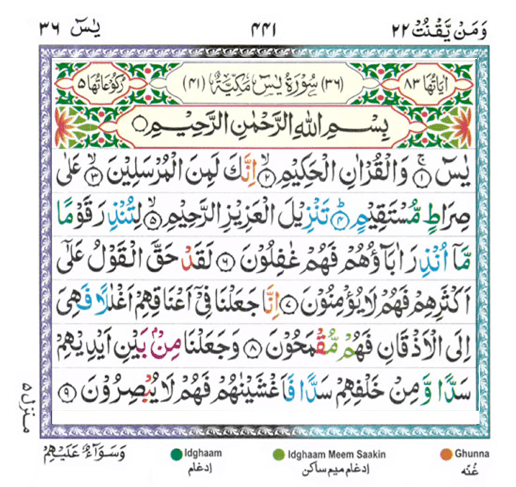 Read Surah Yaseen - Live Sma - Medium