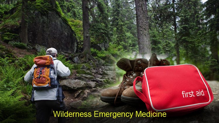 Wilderness Emergency Medicine Which You Should Carry | by Doris Wheeler ...