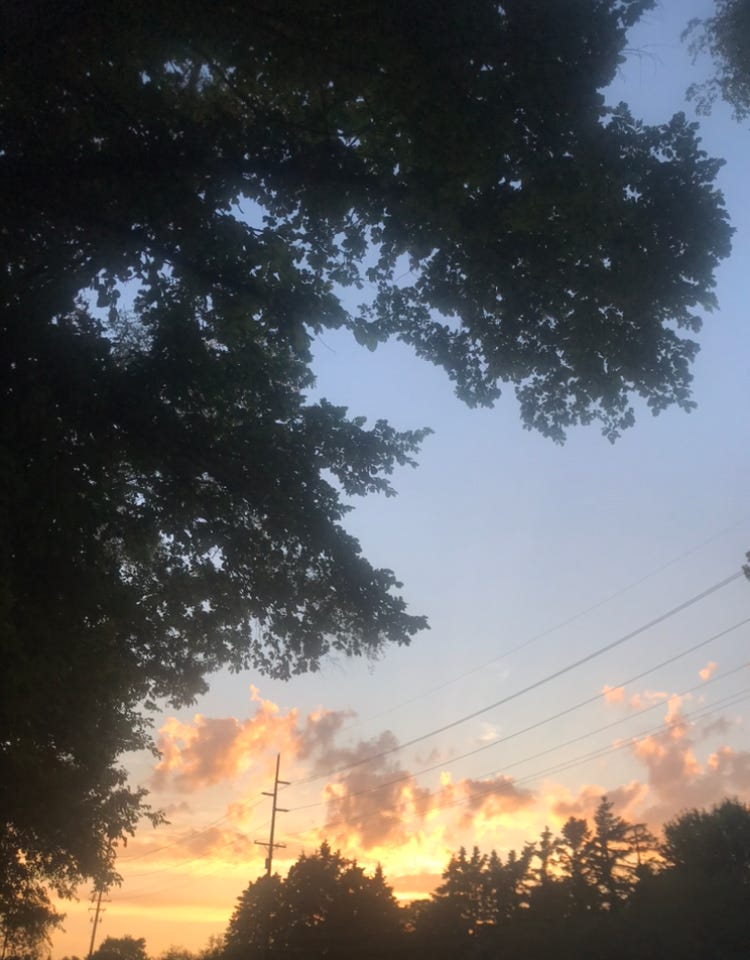 Comfort in Construction and Tree Trimming | by Allison Antonia | Medium