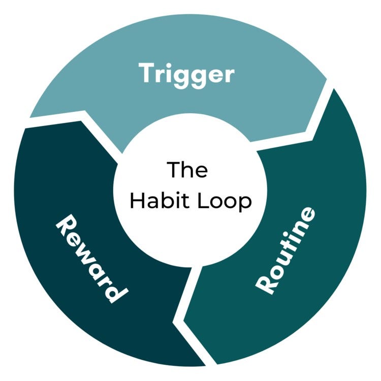 “Building Neurons through Habits: How Your Daily Routine Shapes Your Brain” | by Belief Redesign ...
