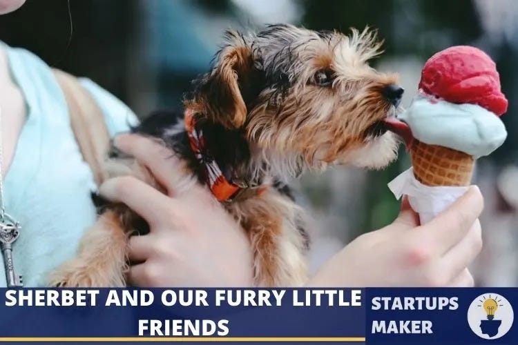 SHERBET AND OUR FURRY LITTLE FRIENDS - Businessblizz - Medium