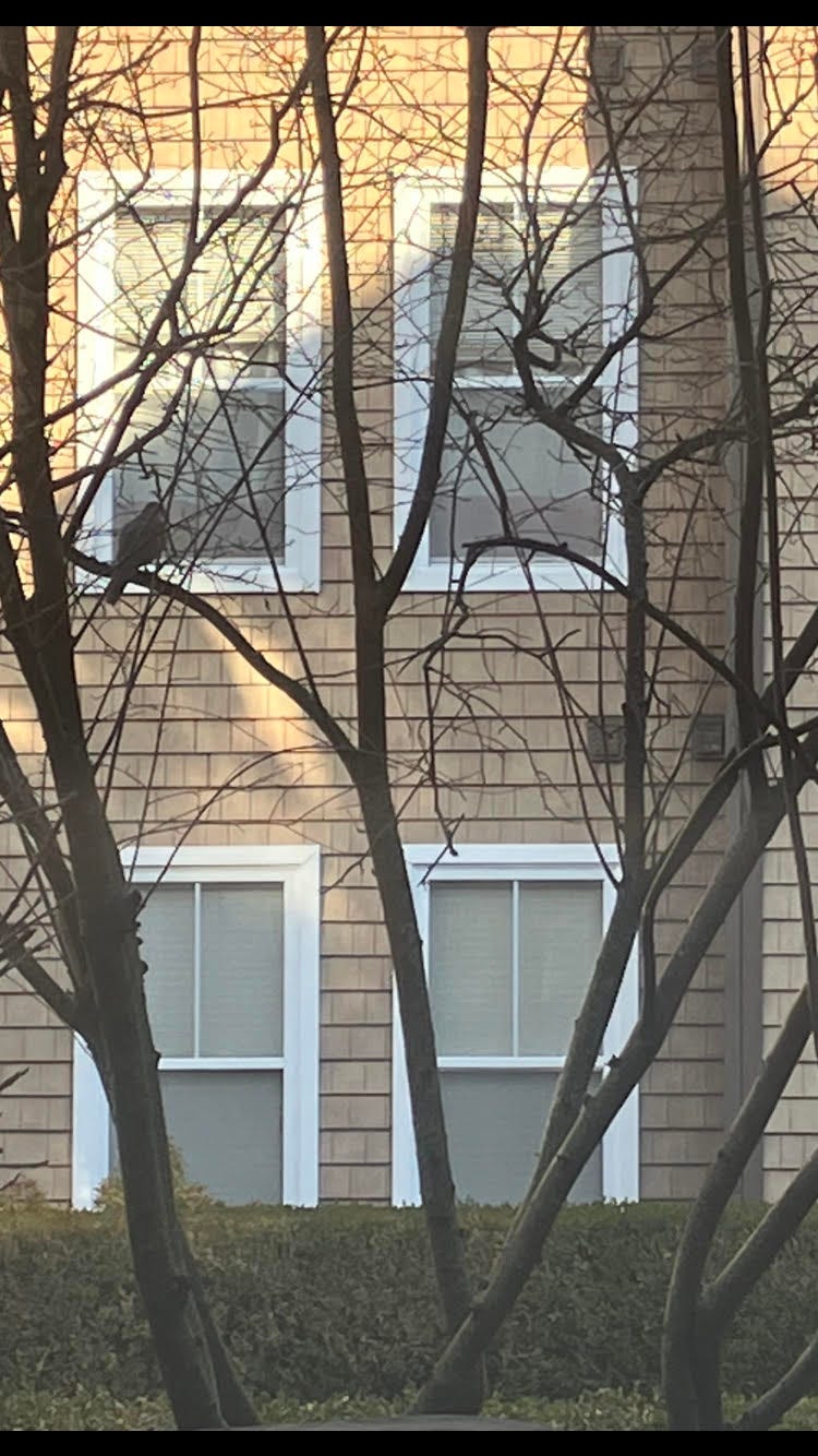 Looking through windows. Consider this poem that was read in my… | by ...