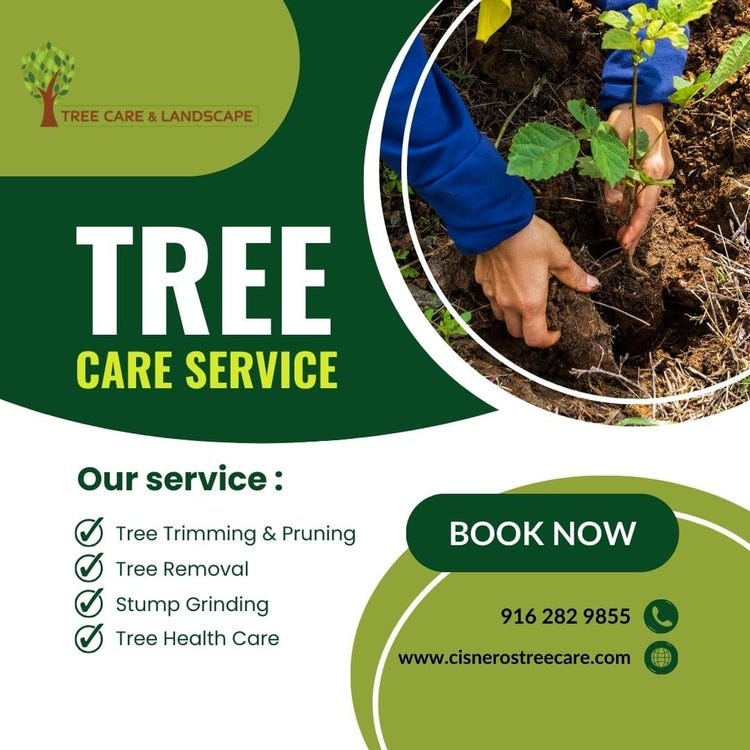 Tree Care Services in Sacramento: Ensuring Your Trees Thrive | by ...