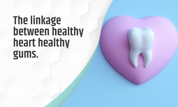 the linkage between healthy heart healthy gums - Seo Dental - Medium